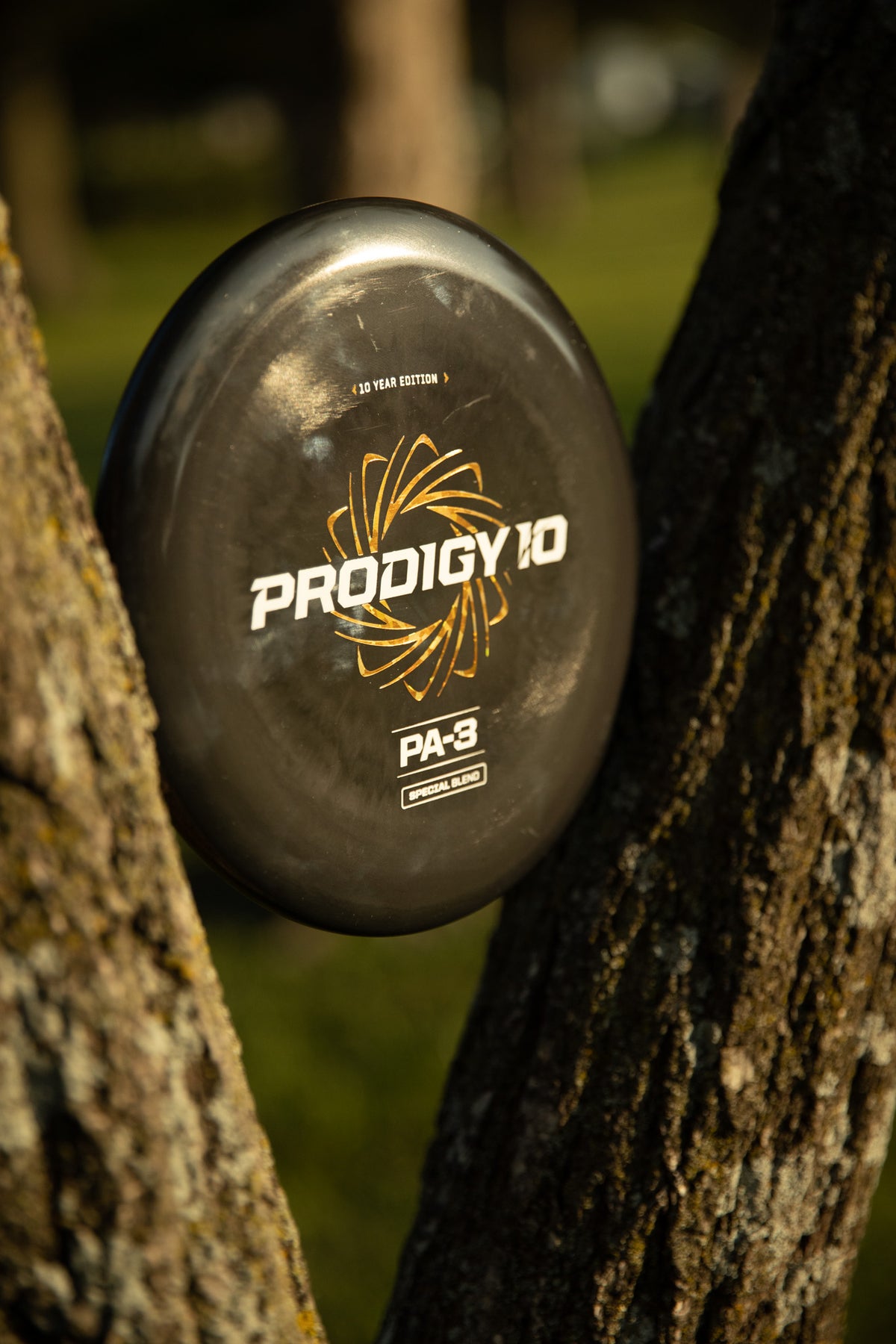 Prodigy Disc. Find Your Flight.