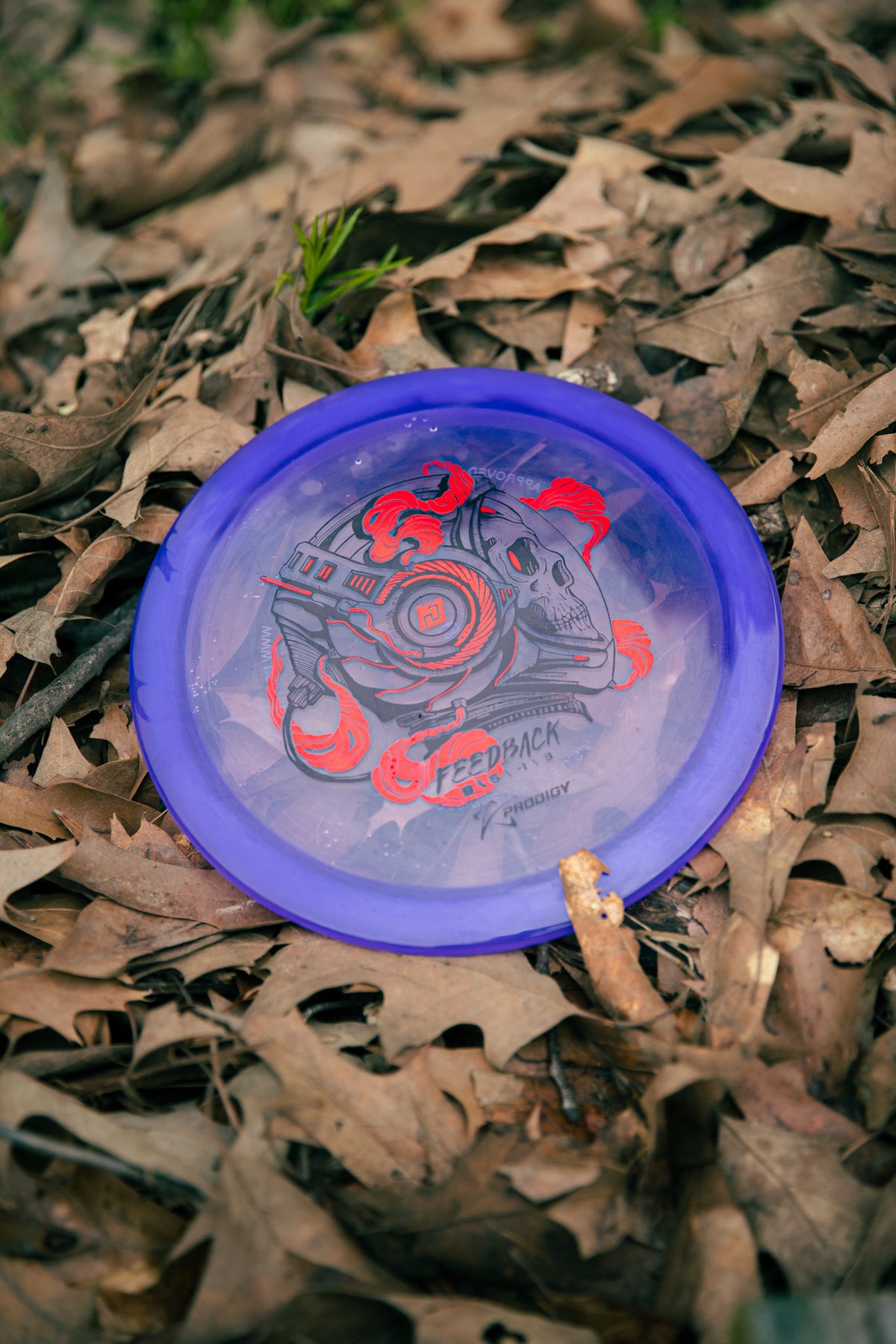 Prodigy Disc. Find Your Flight.