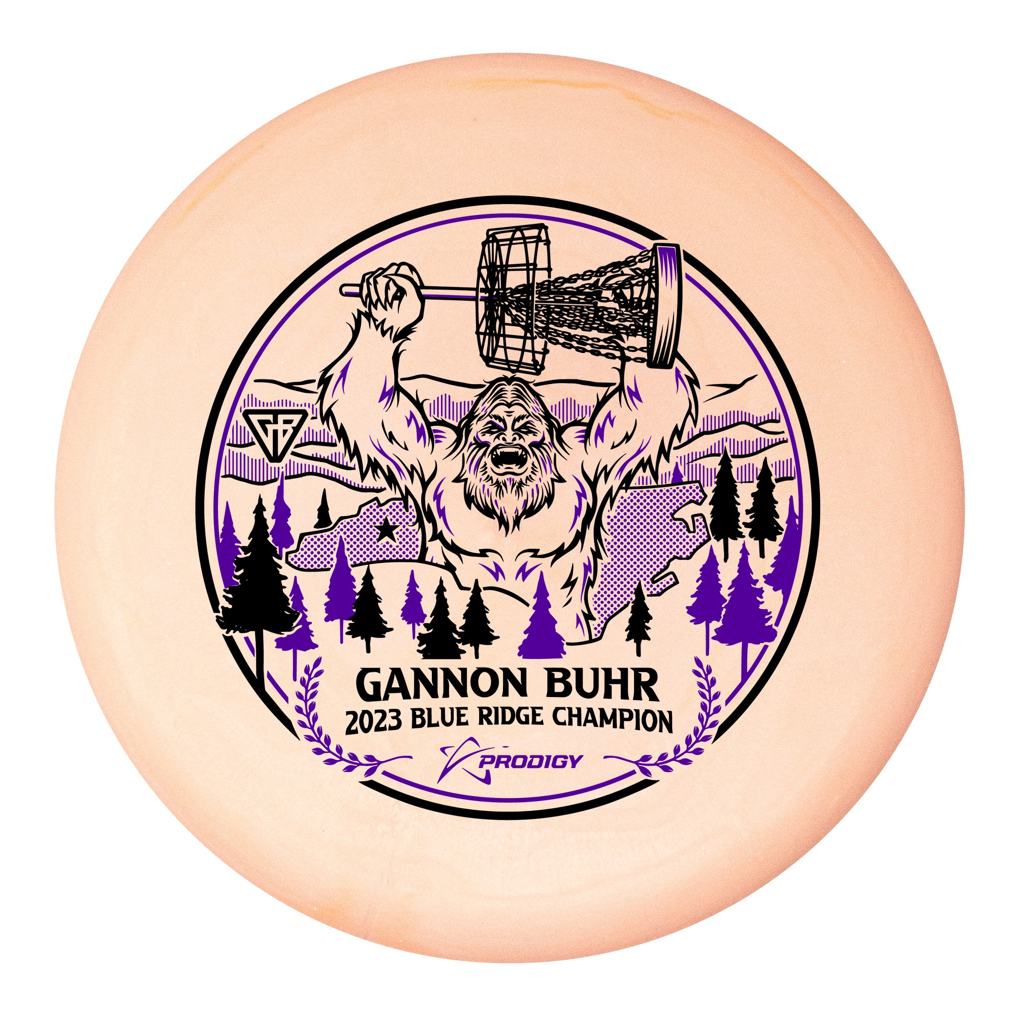 300 Firm Plastic Discs
